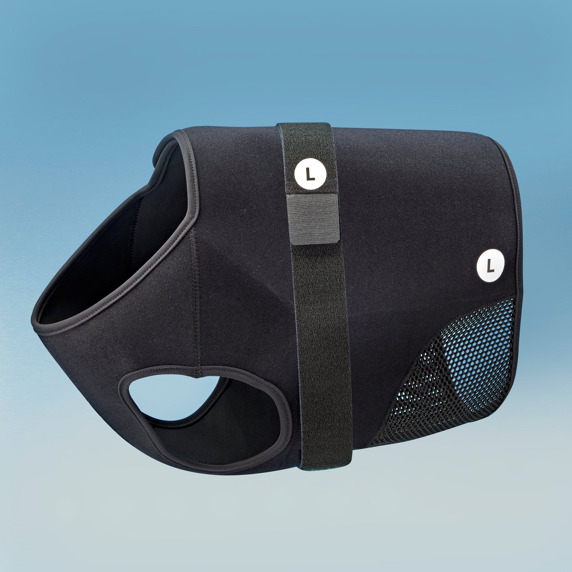 Canine Holter Vest and Belt | ALBA Medical Systems, Inc.